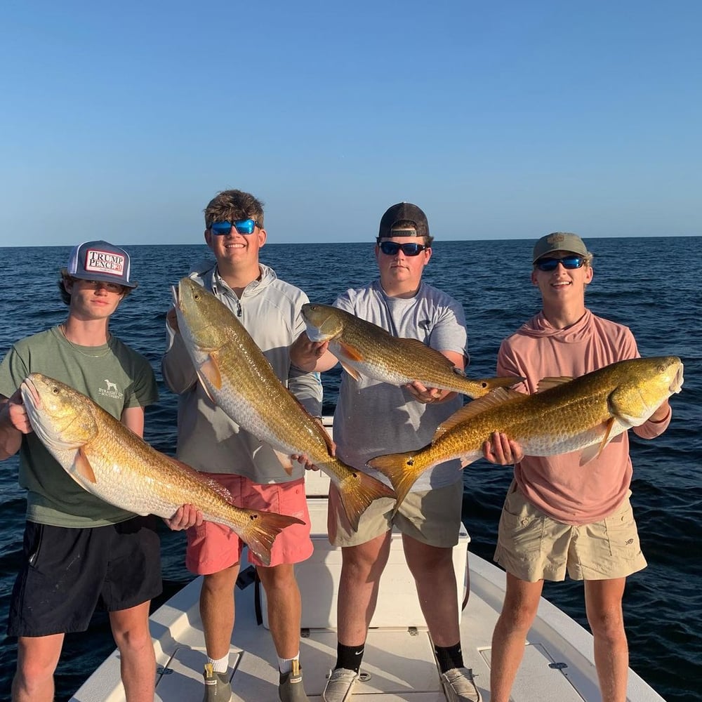Inshore / Near Shore Fishing In Orange Beach