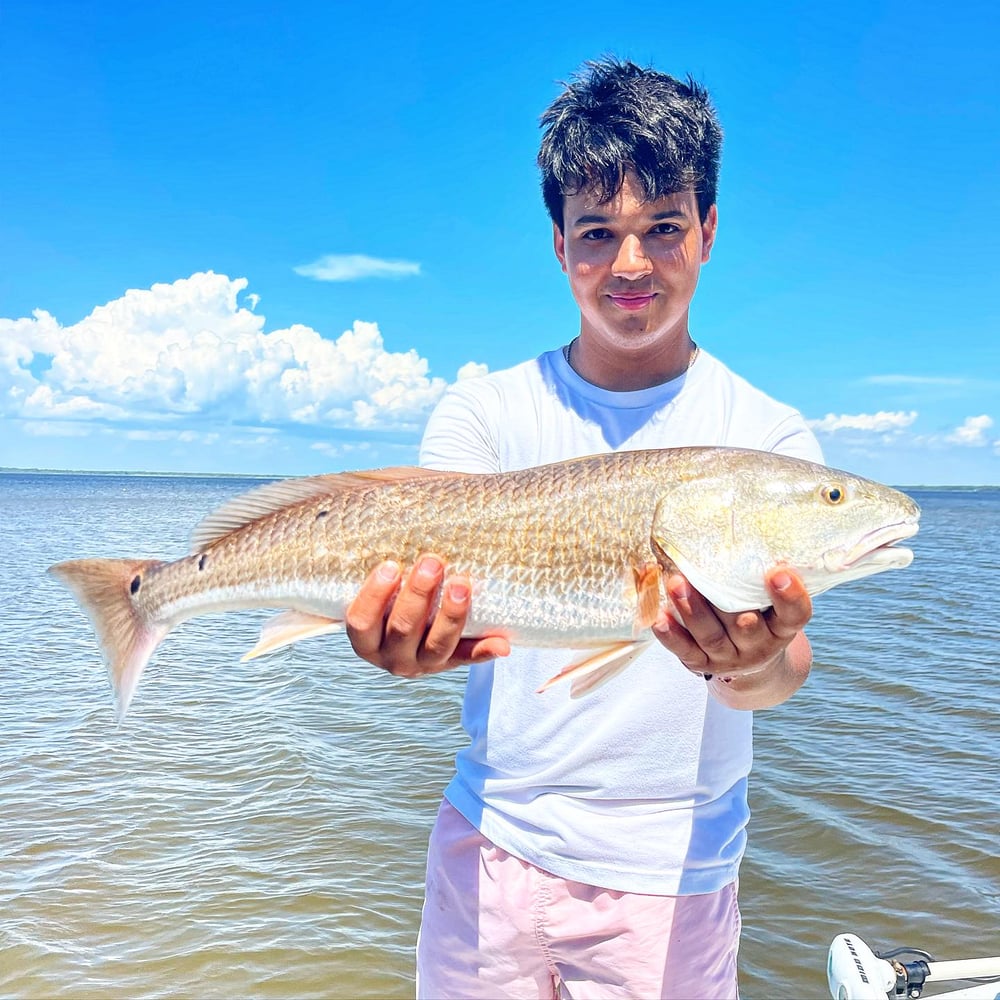 Inshore Insanity In Santa Rosa Beach