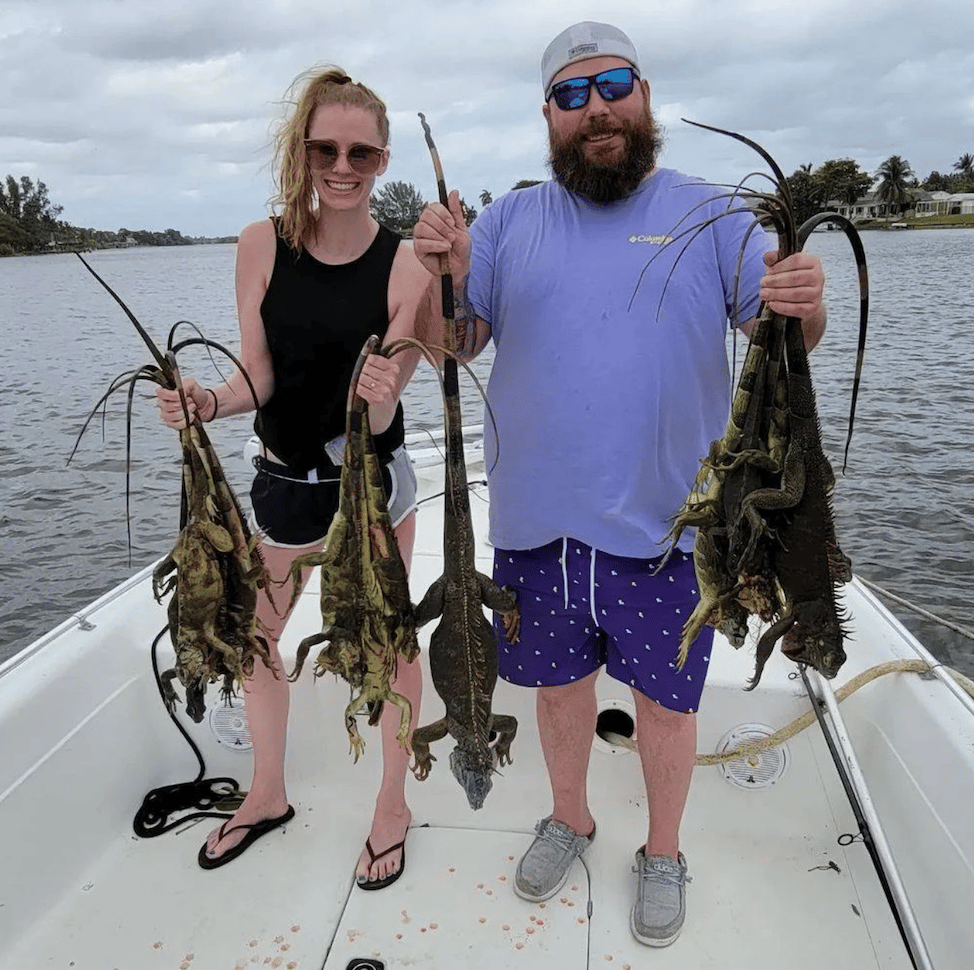 Iguana Hunting Insanity In Lantana