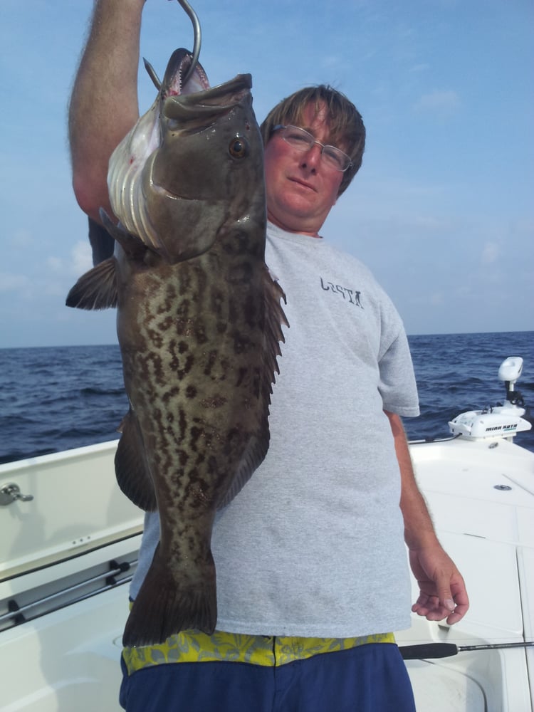 Offshore "Catch Fish Guarantee" In Pensacola