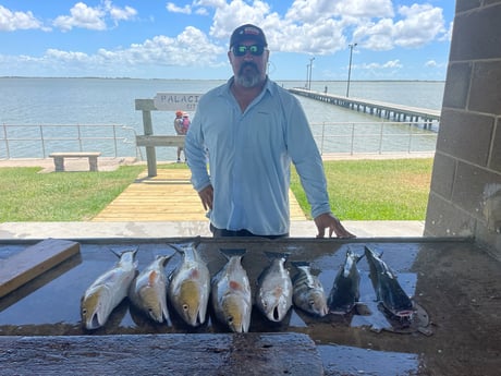 Palacios Fishing Reports (August 2024)