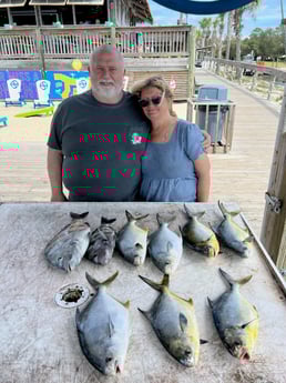 Florida Pompano Fishing Reports (January 2025)