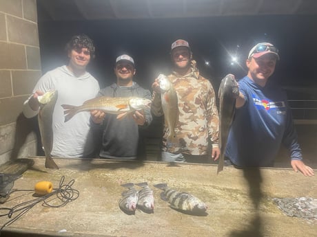 Palacios Fishing Reports (August 2024)
