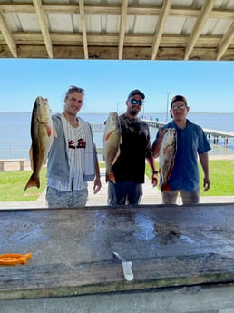 Palacios Fishing Reports (August 2024)