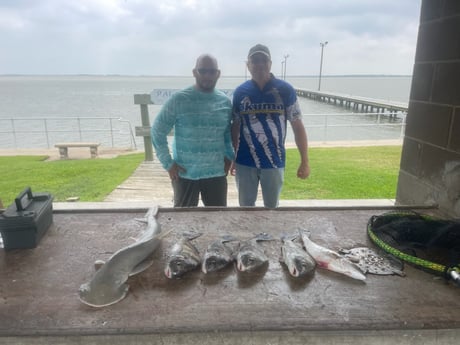 Palacios Fishing Reports (July 2024)