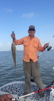 Palacios Fishing Reports (July 2024)