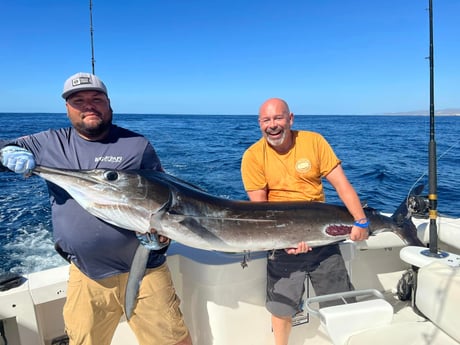 Cabo San Lucas Fishing Reports (August 2024)