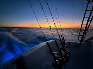 Key West Fishing Reports (July 2024)
