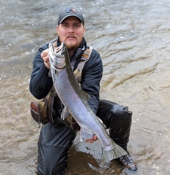 Steelhead Fishing Reports (July 2025)