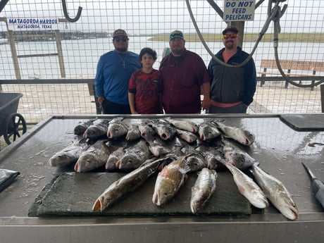 Palacios Fishing Reports (August 2024)