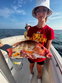Lane Snapper Fishing Reports (August 2024)