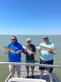 Palacios Fishing Reports (July 2024)