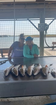 Palacios Fishing Reports (July 2024)