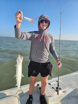 Ladyfish Fishing Reports (July 2025)