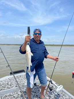 Palacios Fishing Reports (July 2024)