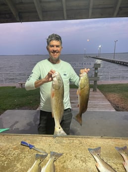 Palacios Fishing Reports (July 2024)