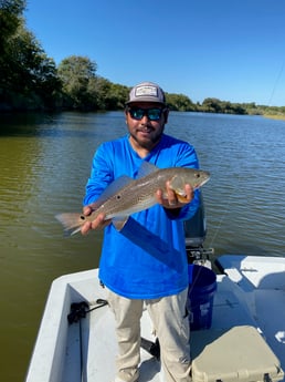 Palacios Fishing Reports (July 2024)