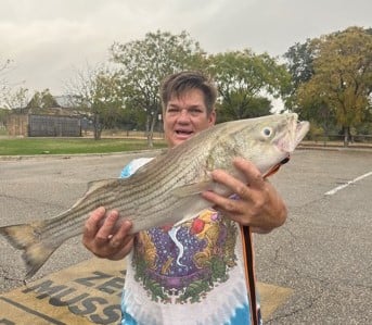 Hybrid Striped Bass Fishing Reports (May 2024)