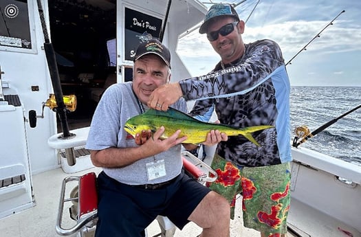 Mahi Mahi Fishing Reports (June 2024)
