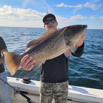 Indian Rocks Beach Fishing Reports (August 2024)