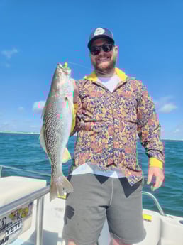 Weakfish Fishing Reports (July 2025)