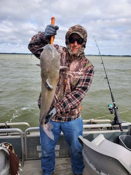 Port Clinton Fishing Reports (August 2024)