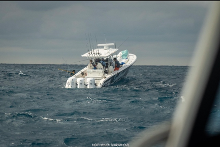 Offshore Fishing (FADs / Oil Rigs) In Gulf Breeze