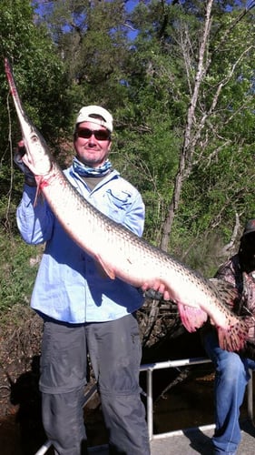 Big Fish Bowfishing Texas in Houston, Texas: Captain Experiences