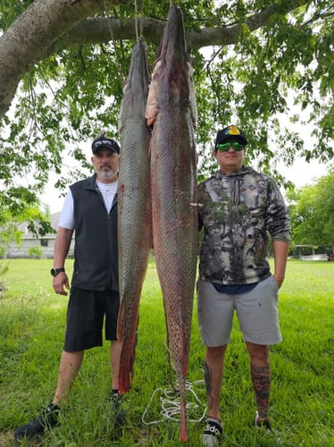 Big Fish Bowfishing Texas in Houston, Texas: Captain Experiences