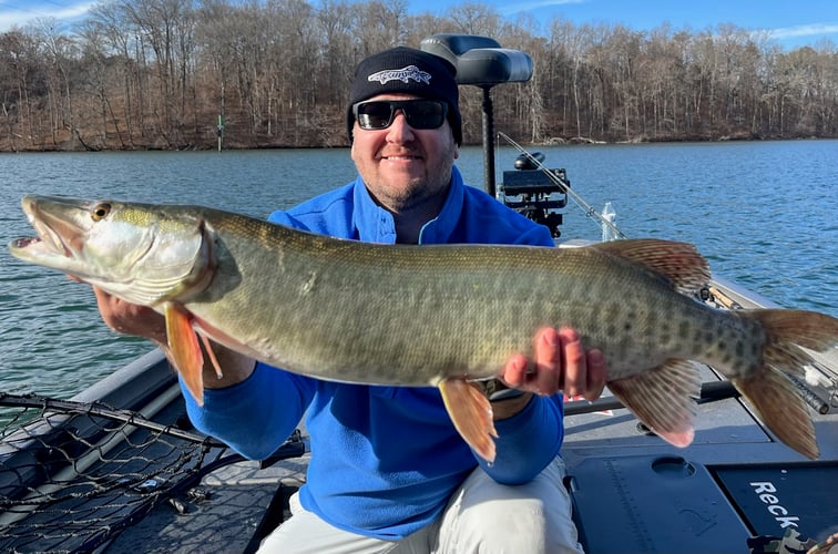 Tennessee Musky Guide with Captain Experiences