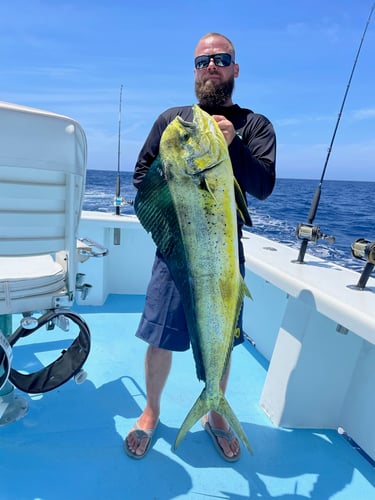 Key West Florida Fishing with Captain Experiences