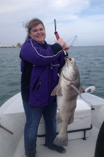 Seidel's Guide Service with Captain Experiences