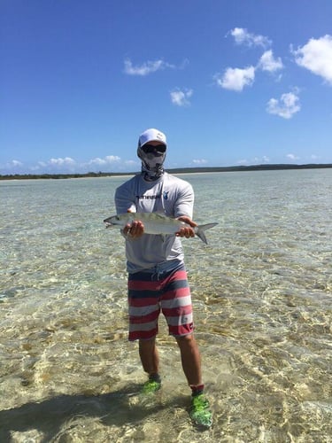 Reel McCoy Charters in Miami, Florida: Captain Experiences