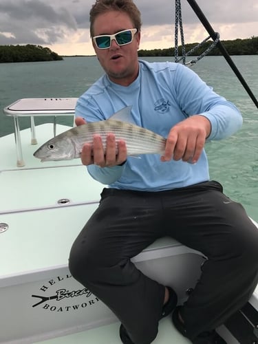 Reel McCoy Charters in Miami, Florida: Captain Experiences
