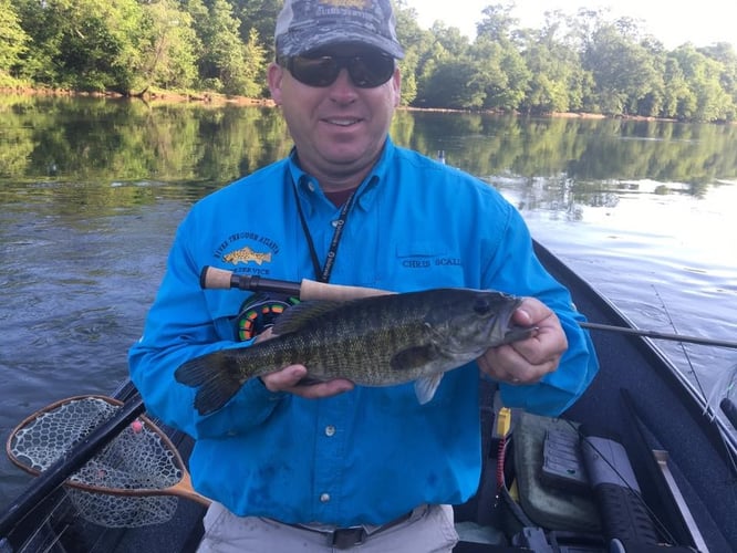 River Through Atlanta in Roswell, Georgia: Captain Experiences