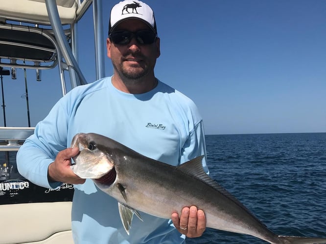 Panhandle Fishing Charters in Destin, Florida: Captain Experiences