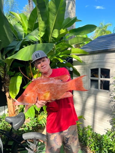 Domestic Six Pack Charters in Miami, Florida: Captain Experiences