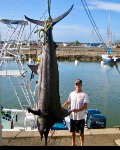 Domestic Six Pack Charters in Miami, Florida: Captain Experiences