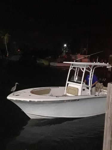 Reel Insanity Fishing with Captain Experiences