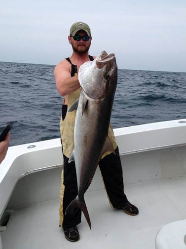 6-Hour Bottom/Trolling - 55' Gillman In Orange Beach