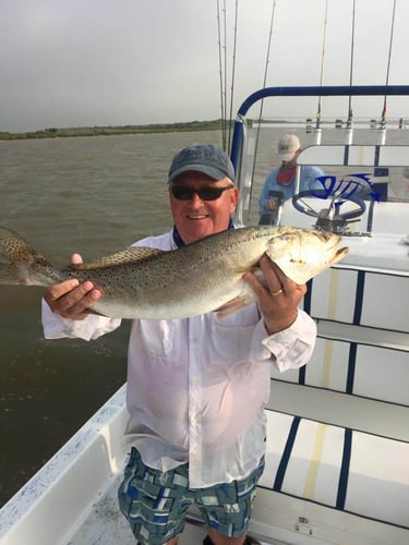 Rio Fishing Charters in South Padre Island, Texas: Captain Experiences