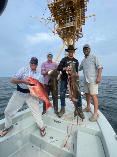 Off the Grid Fishing Charters with Captain Experiences