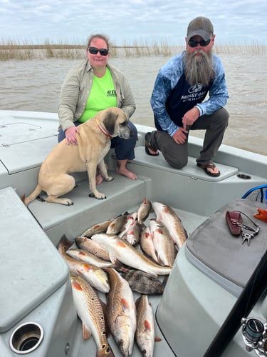 Off the Grid Fishing Charters with Captain Experiences