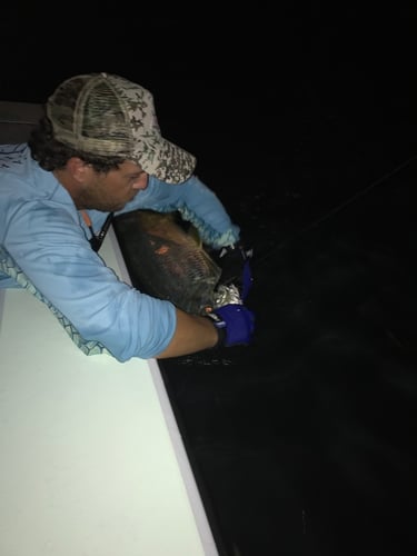 Reel McCoy Charters in Miami, Florida: Captain Experiences