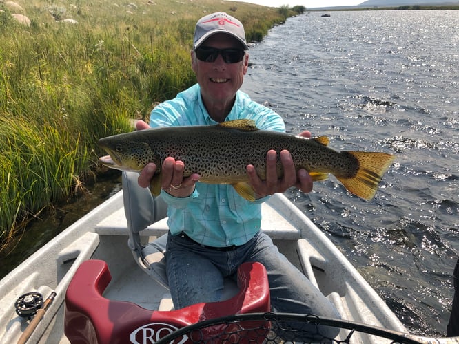 Montana Fly Fishing Guides in Sheridan, Montana: Captain Experiences