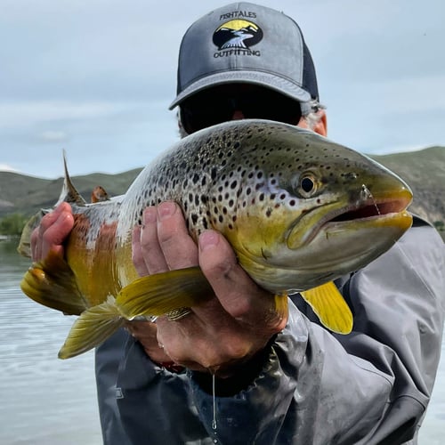 Montana Fly Fishing Guides in Sheridan, Montana: Captain Experiences