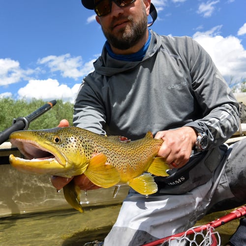 Montana Fly Fishing Guides in Sheridan, Montana: Captain Experiences