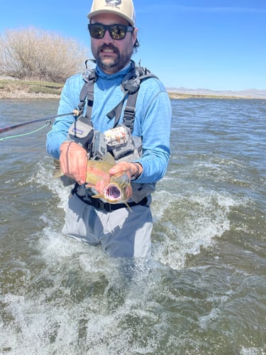 Montana Fly Fishing Guides in Sheridan, Montana: Captain Experiences