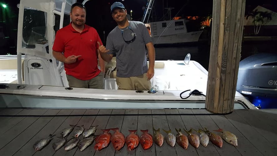 Reel Insanity Fishing with Captain Experiences