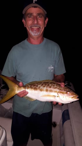 Reel Insanity Fishing with Captain Experiences